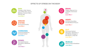 Stress & Your Health | Advancing Health Naturally